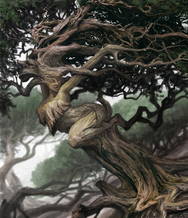 Tree (spell) - The Authentic D&D Wiki