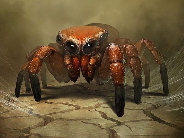 Spider (cantrip) - The Authentic D&D Wiki