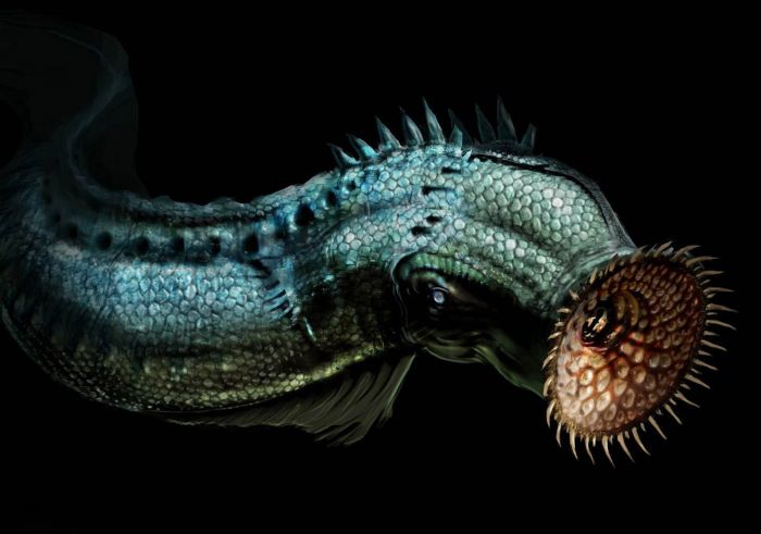 Lamprey - The Authentic D&D Wiki