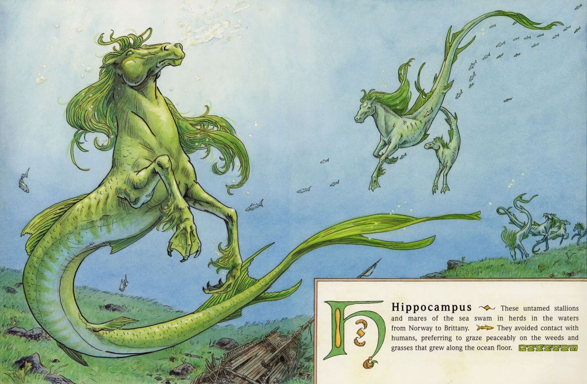 Hippocampus - The Authentic D&D Wiki