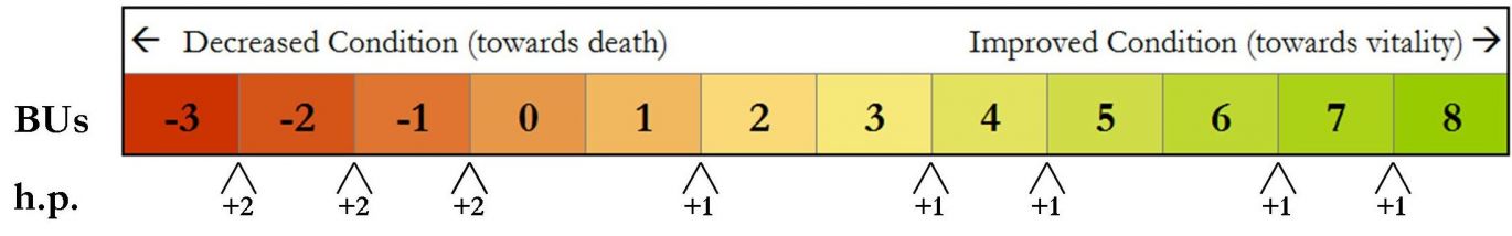 Hit Points - The Authentic D&D Wiki