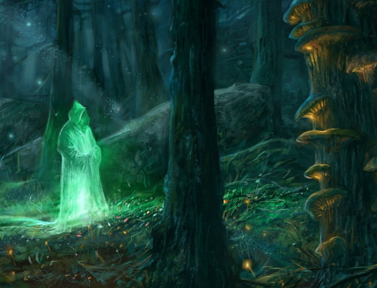 Invisibility to Animals (spell) - The Authentic D&D Wiki