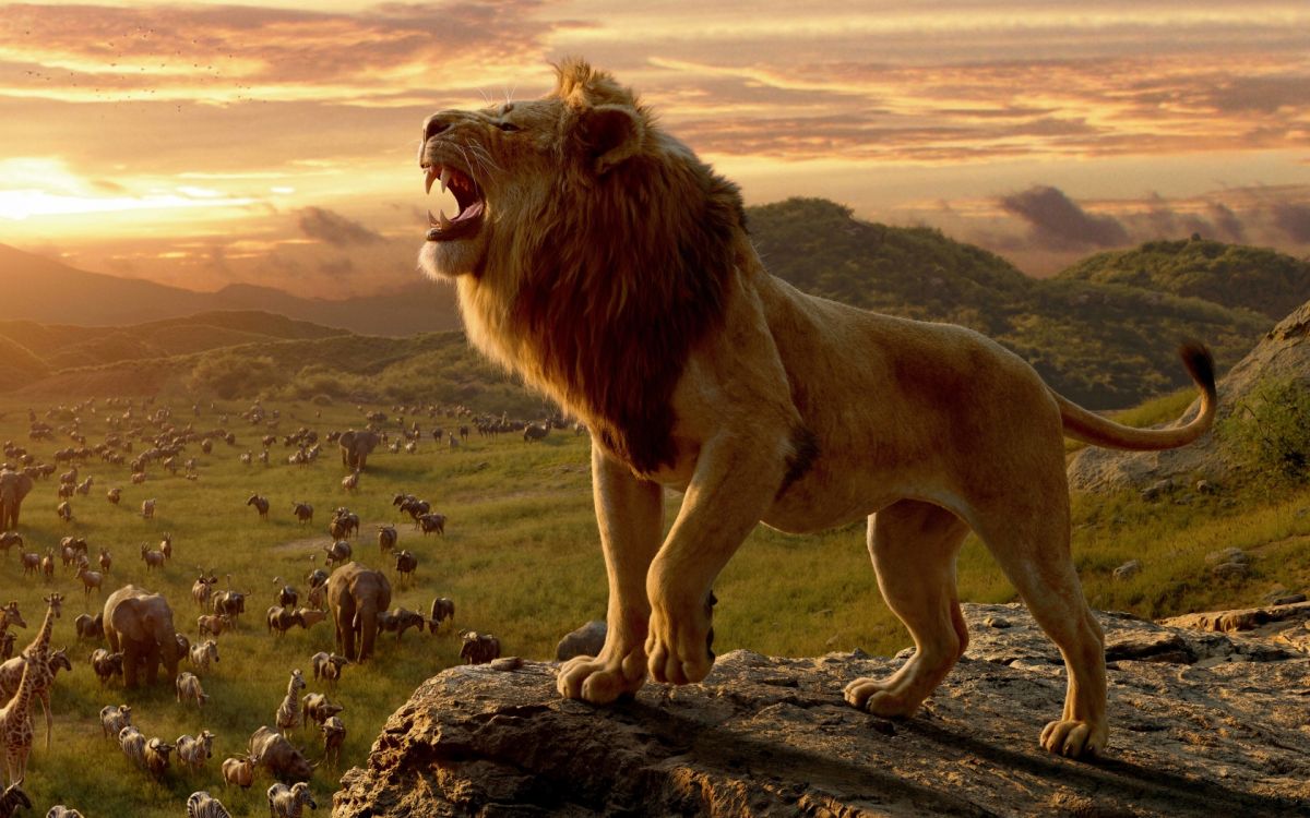 Lion - The Authentic D&D Wiki